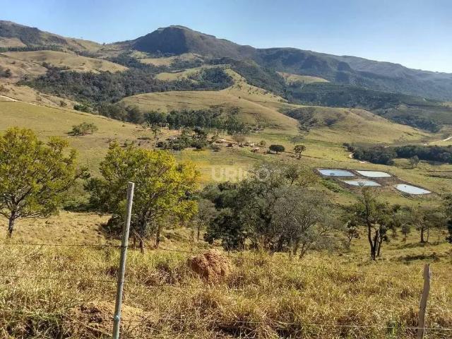 Sítio / Chácara para Venda em Ilicínea/MG Zona Rural 3 Quartos