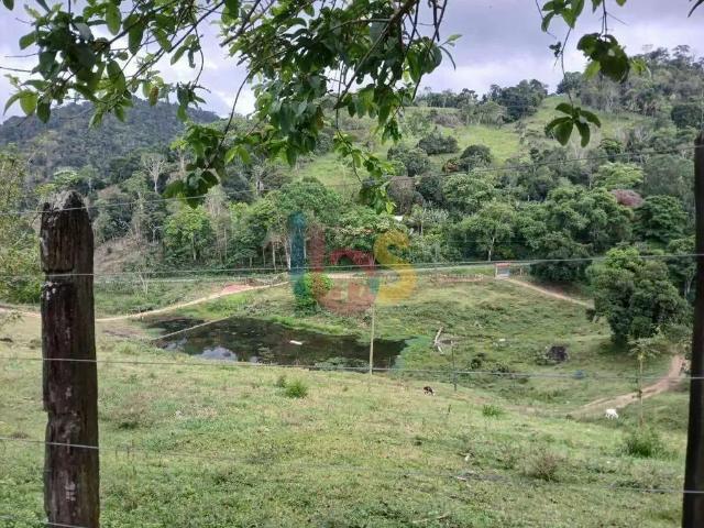 Sítio / Chácara para Venda em Ipiaú/BA Zona Rural