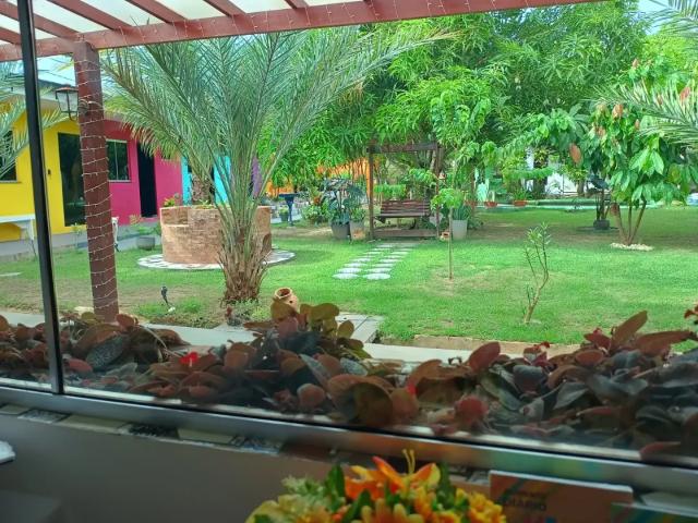 Sítio / Chácara para Venda em Iranduba/AM Ramal Pic Bela Vista 6 Quartos