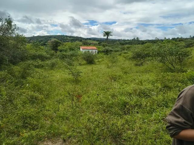 Sítio / Chácara para Venda em Irará/BA Zona Rural 1 Quartos