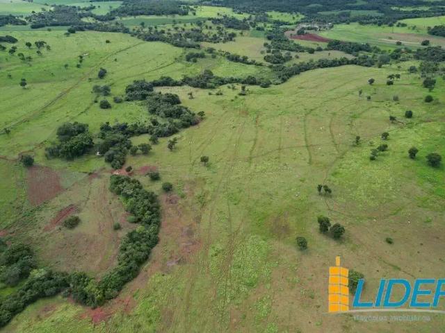 Sítio / Chácara para Venda em Itumbiara/GO Área Rural de Itumbiara