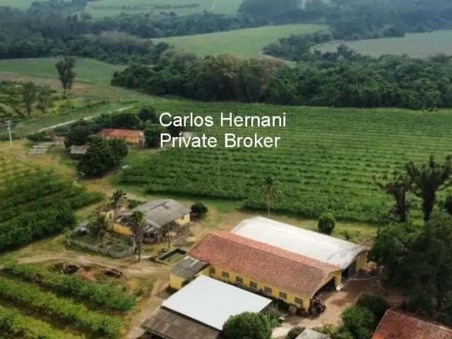 Sítio / Chácara para Venda em Itu/SP Canguiri