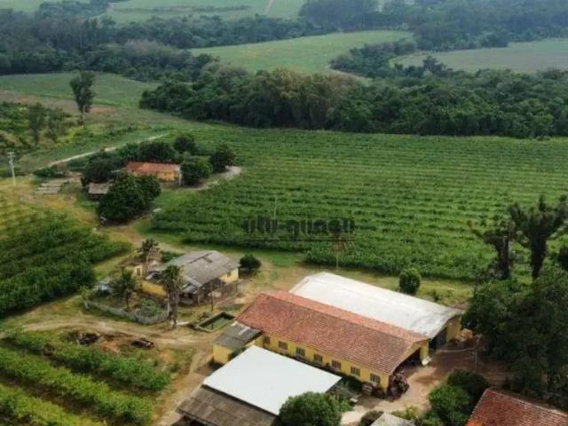 Sítio / Chácara para Venda em Itu/SP Canguiri