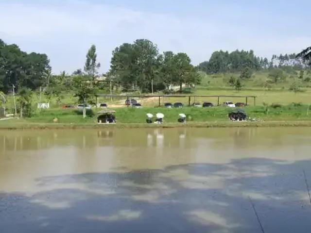 Sítio / Chácara para Venda em Itu/SP Potribu de Cima