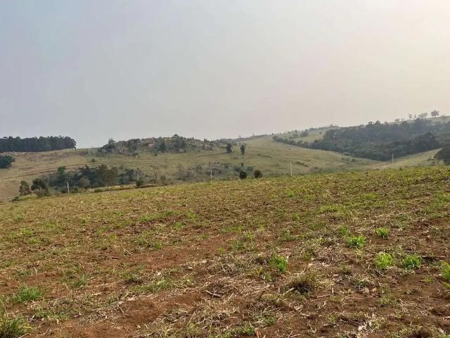 Sítio / Chácara para Venda em Itu/SP Pedregulho