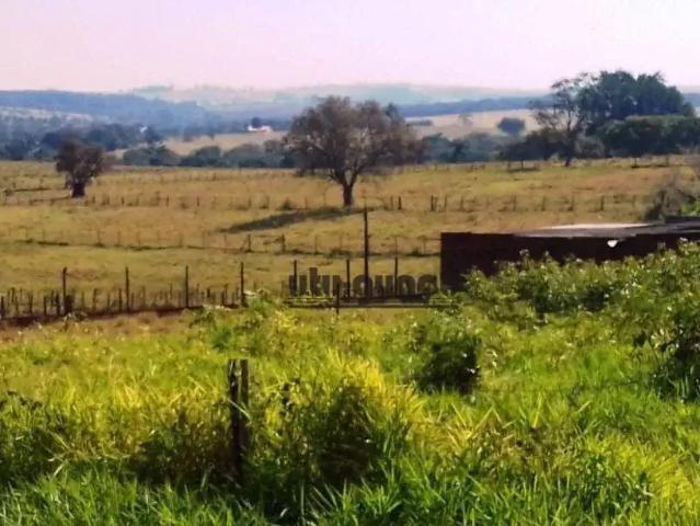 Sítio / Chácara para Venda em Itu/SP Zona Rural