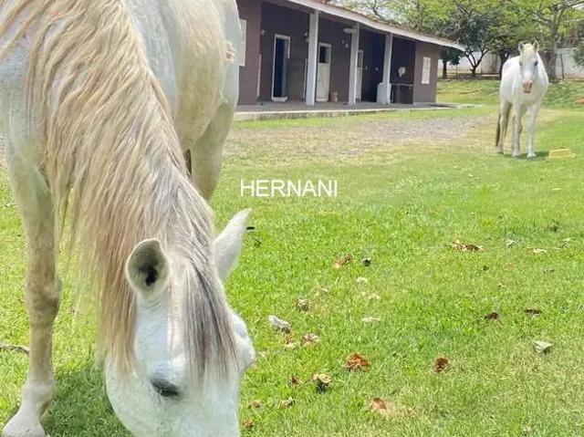 Sítio / Chácara para Venda em Itu/SP Zona Rural 16 Quartos