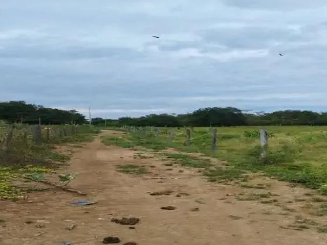 Sítio / Chácara para Venda em Itacarambi/MG Zona Rural