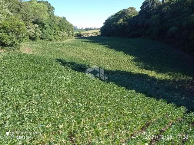 Sítio / Chácara para Venda em Itaara/RS Parque Serrano