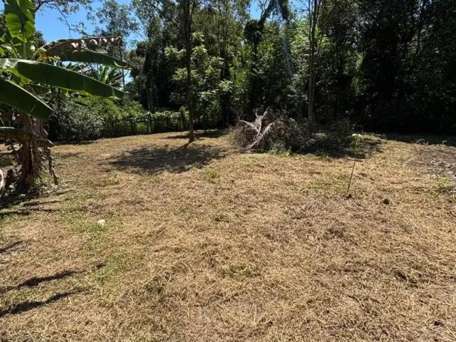 Sítio / Chácara para Venda em Itaboraí/RJ Agro Brasil Sambaetiba