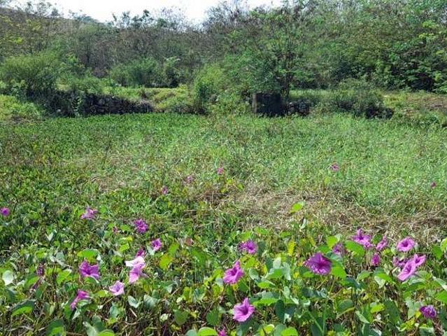 Sítio / Chácara para Venda em Itaboraí/RJ Área Rural de Itaboraí 2 Quartos