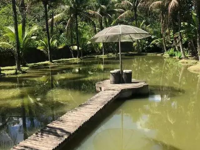 Sítio / Chácara para Venda em Itaboraí/RJ Centro Sambaetiba 5 Quartos