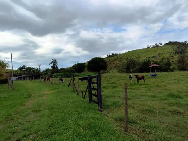 Sítio / Chácara para Venda em Itaboraí/RJ Centro Sambaetiba 3 Quartos