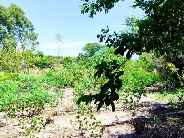 Sítio / Chácara para Venda em Itaboraí/RJ Retiro 2 Quartos