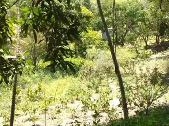 Sítio / Chácara para Venda em Itaboraí/RJ São José 2 Quartos