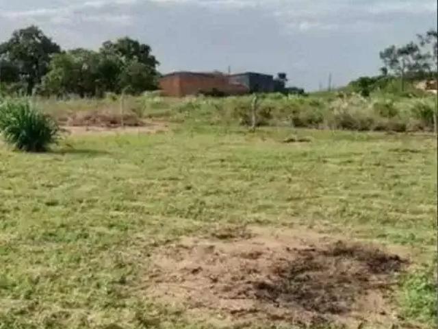 Sítio / Chácara para Venda em Itabaiana/SE Área Rural de Itabaiana