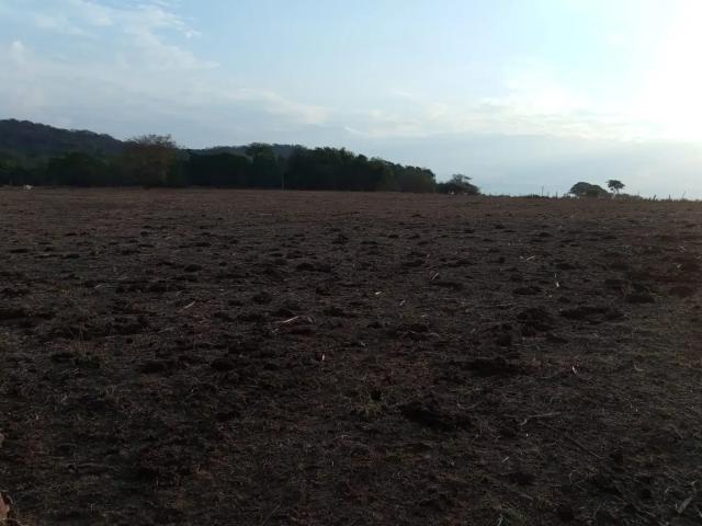 Sítio / Chácara para Venda em Itaberaí/GO Zona Rural 3 Quartos