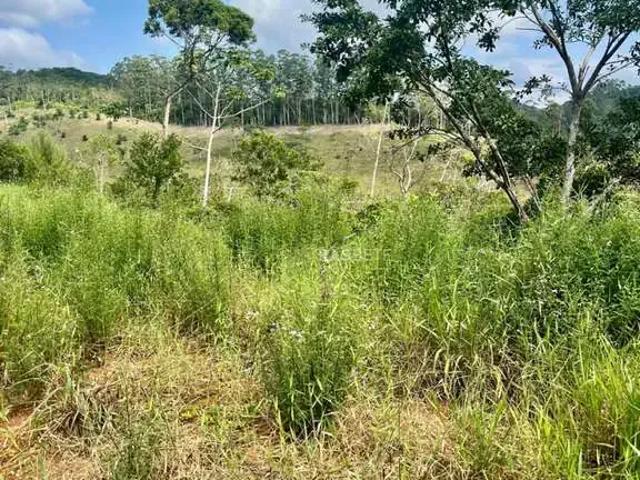 Sítio / Chácara para Venda em Itajaí/SC Paciência