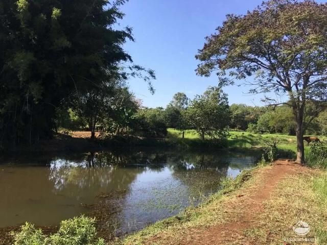 Sítio / Chácara para Venda em Itambaracá/PR Centro