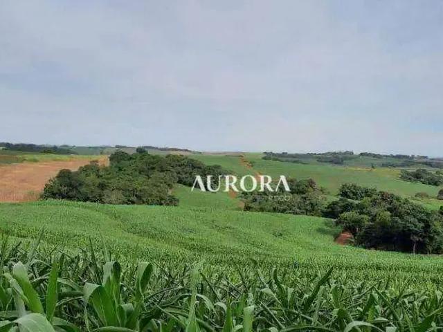 Sítio / Chácara para Venda em Itambé/PR Zona Rural