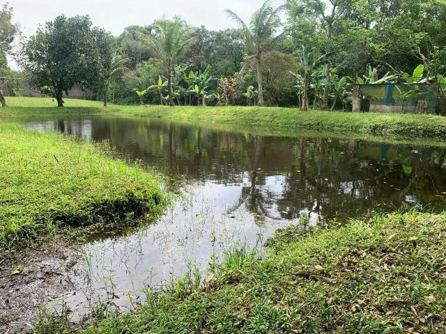 Sítio / Chácara para Venda em Itanhaém/SP Zona Rural