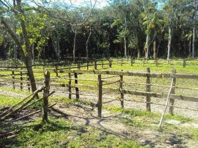 Sítio / Chácara para Venda em Itanhaém/SP Jardim Coronel 1 Quartos