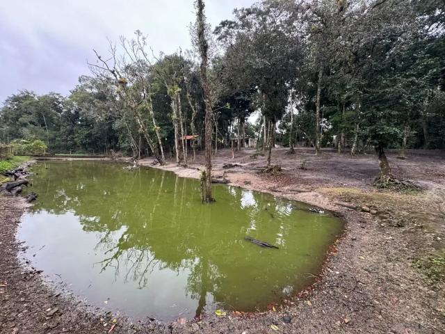 Sítio / Chácara para Venda em Itanhaém/SP Jardim Coronel 1 Quartos