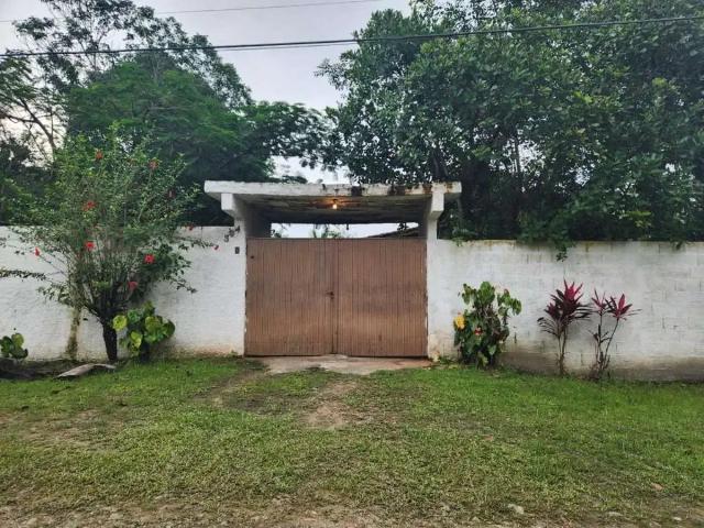Sítio / Chácara para Venda em Itanhaém/SP Jardim Coronel 3 Quartos
