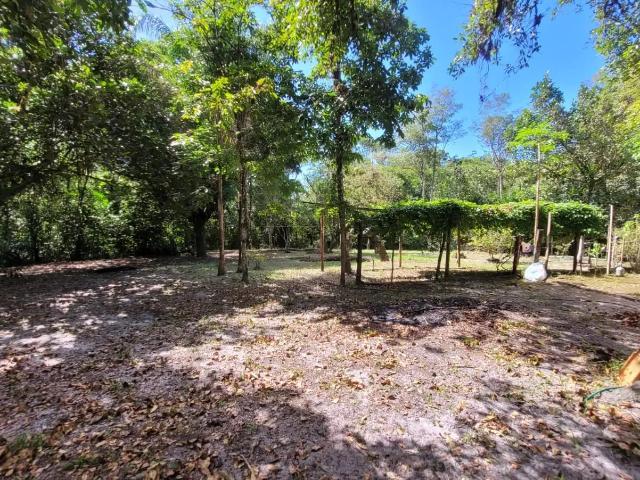 Sítio / Chácara para Venda em Itanhaém/SP Jardim Coronel 3 Quartos