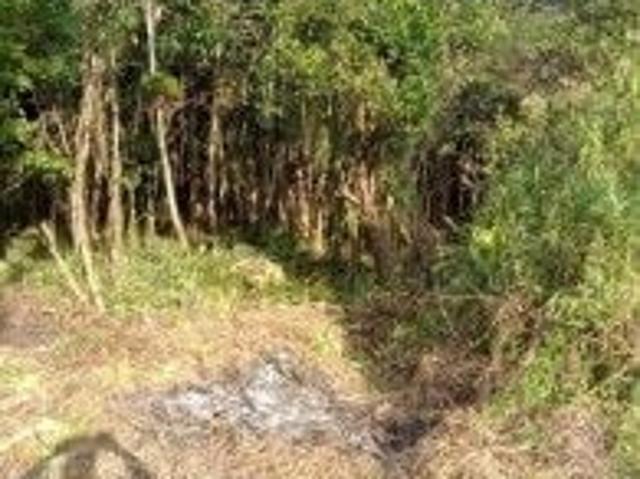 Sítio / Chácara para Venda em Itanhaém/SP Jardim Aguapeú