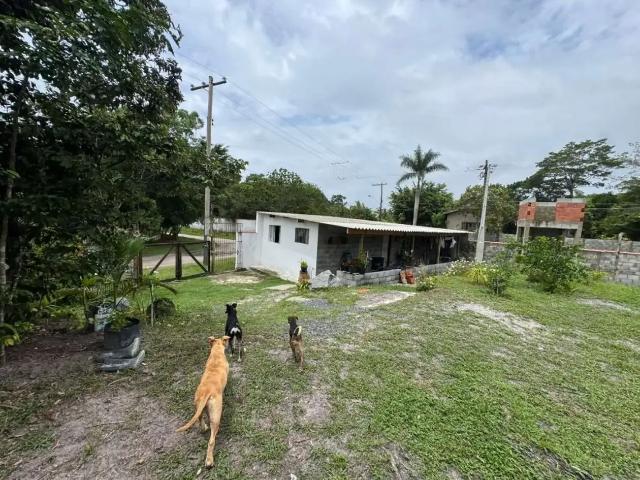Sítio / Chácara para Venda em Itanhaém/SP Jardim São Fernando 3 Quartos