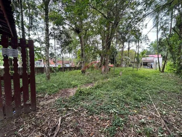 Sítio / Chácara para Venda em Itanhaém/SP Parque Vergara 2 Quartos