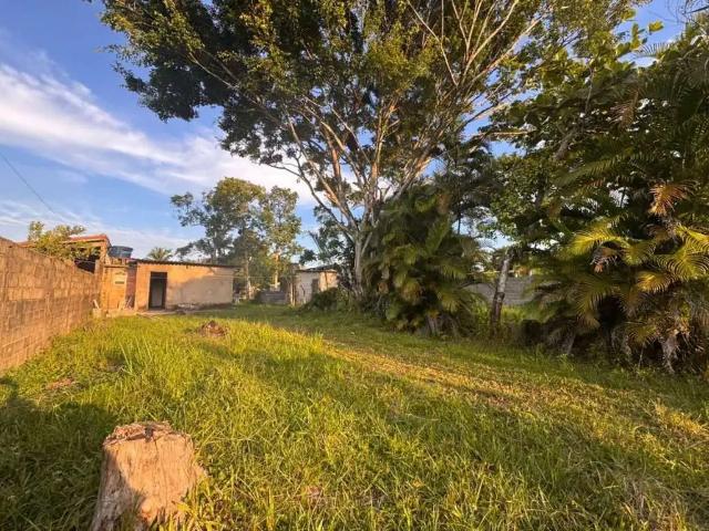 Sítio / Chácara para Venda em Itanhaém/SP Sitio Velho 1 Quartos