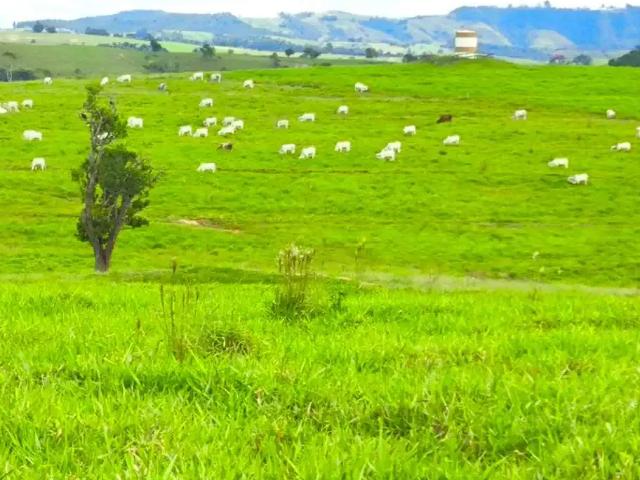 Sítio / Chácara para Venda em Itaporanga/SP Centro 2 Quartos