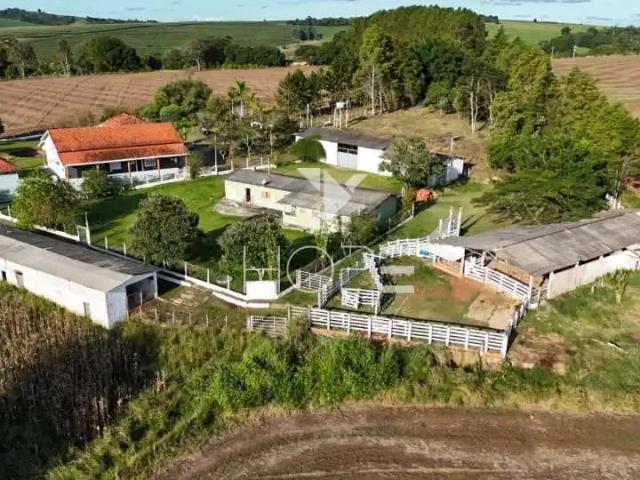 Sítio / Chácara para Venda em Itapetininga/SP Centro 1 Quartos
