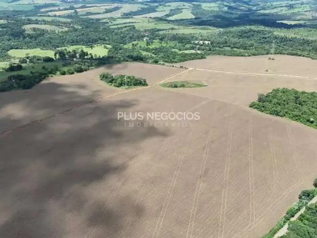 Sítio / Chácara para Venda em Itapetininga/SP Centro