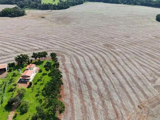 Sítio / Chácara para Venda em Itapetininga/SP Área Rural de Itapetininga 3 Quartos