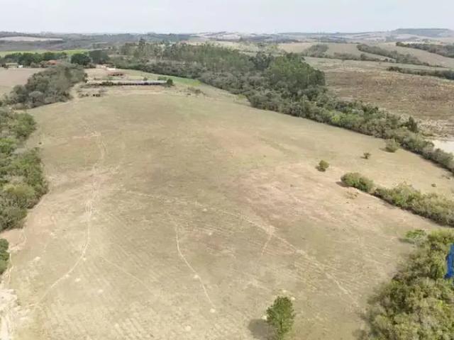 Sítio / Chácara para Venda em Itapetininga/SP Área Rural de Itapetininga 1 Quartos
