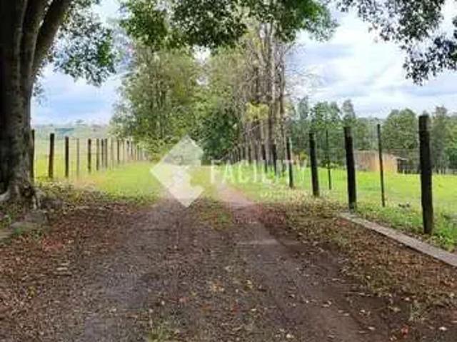 Sítio / Chácara para Venda em Itapetininga/SP Área Rural de Itapetininga 1 Quartos
