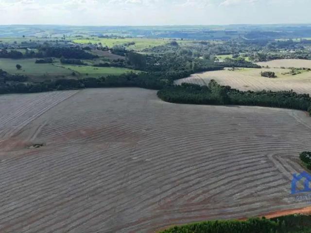 Sítio / Chácara para Venda em Itapetininga/SP Área Rural de Itapetininga 1 Quartos