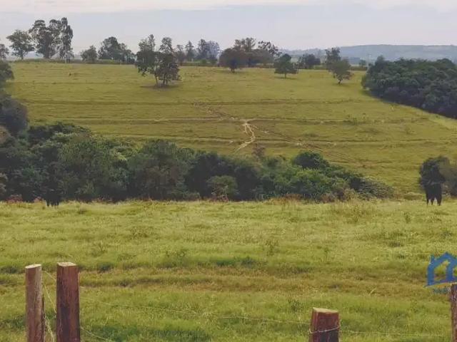 Sítio / Chácara para Venda em Itapetininga/SP Área Rural de Itapetininga 1 Quartos