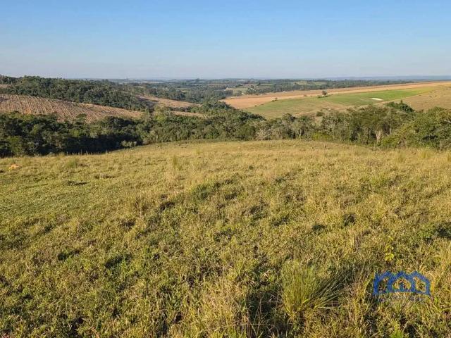 Sítio / Chácara para Venda em Itapetininga/SP Área Rural de Itapetininga 1 Quartos