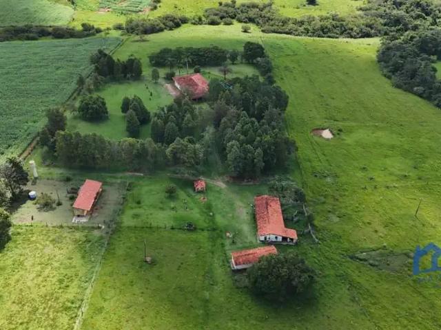 Sítio / Chácara para Venda em Itapetininga/SP Área Rural de Itapetininga 1 Quartos