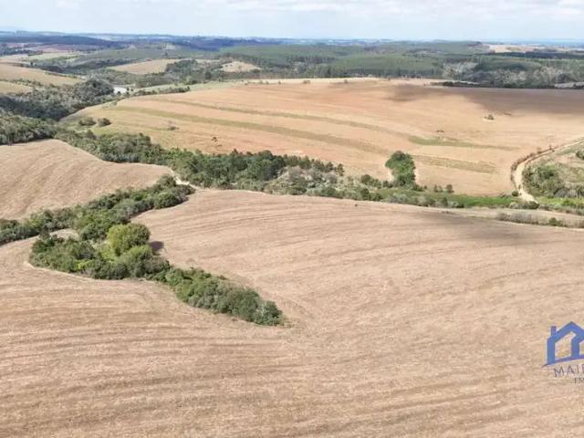 Sítio / Chácara para Venda em Itapetininga/SP Área Rural de Itapetininga 1 Quartos