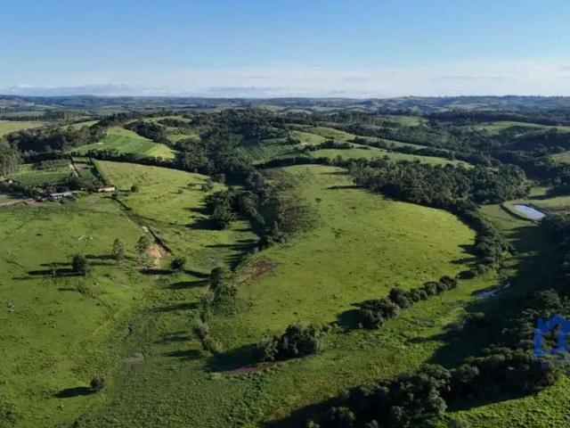 Sítio / Chácara para Venda em Itapetininga/SP Área Rural de Itapetininga 1 Quartos