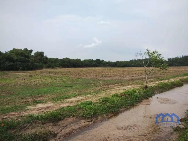 Sítio / Chácara para Venda em Itapetininga/SP Área Rural de Itapetininga 1 Quartos