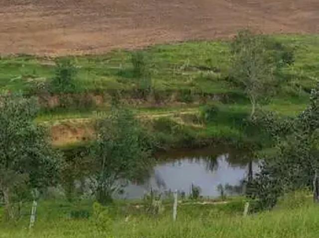 Sítio / Chácara para Venda em Itapetininga/SP Área Rural de Itapetininga 1 Quartos