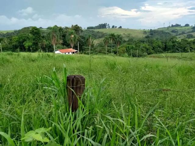 Sítio / Chácara para Venda em Itapetininga/SP Área Rural de Itapetininga 2 Quartos