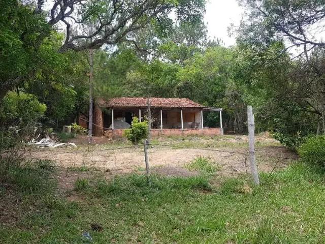 Sítio / Chácara para Venda em Itapetininga/SP Área Rural de Itapetininga 2 Quartos