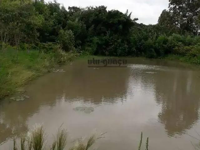 Sítio / Chácara para Venda em Itapetininga/SP Área Rural de Itapetininga